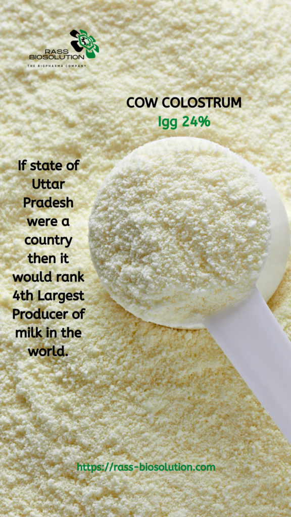 Benefits of Cow Colostrum Powder